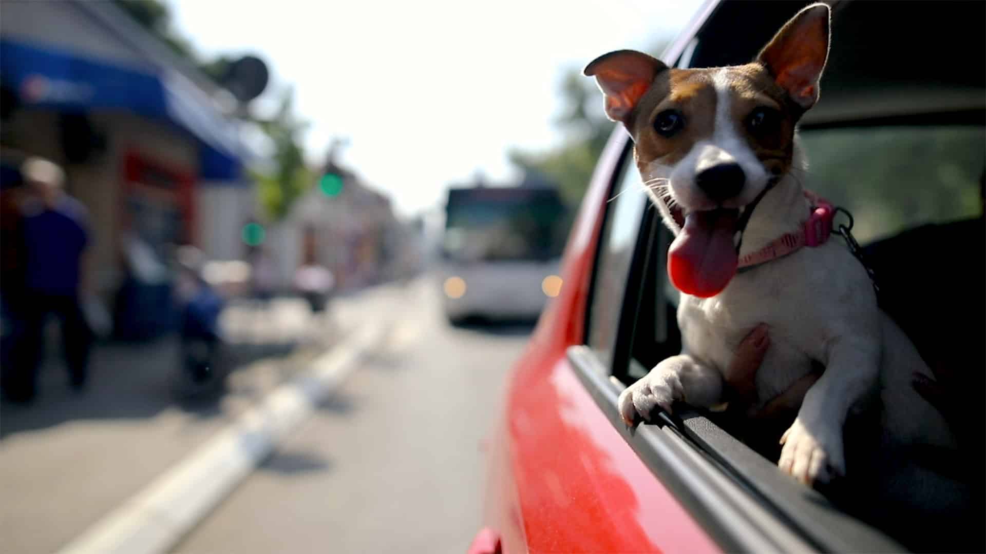 follow red – Brand Communication, Content Marketing-, Event- und PR-Agentur